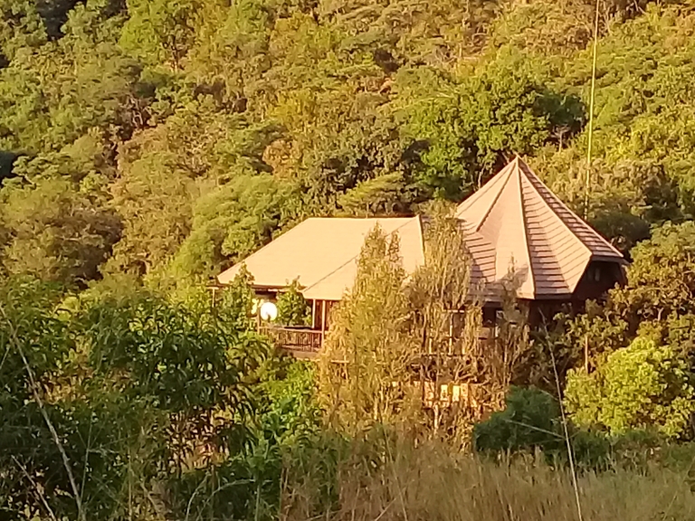 Thatch Roof Renovation - Thatch Regulations | Thatch Tile Info